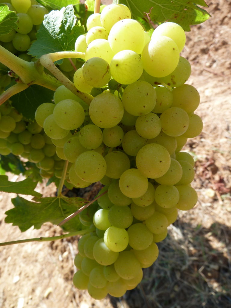 Home [www.domainedurban.com]